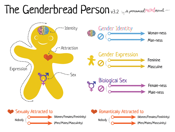 Advancing the conversation: next steps for lesbian, gay, bisexual ...